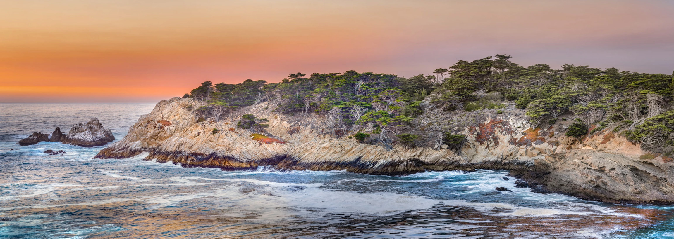 Ways to support PLF - Point Lobos Foundation