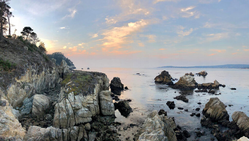 Support PLF - Point Lobos Foundation