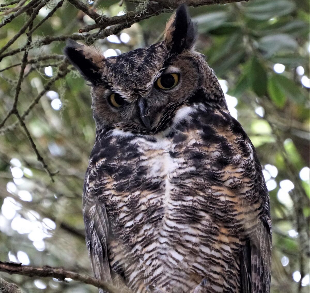 Plan Your Visit - Point Lobos Foundation