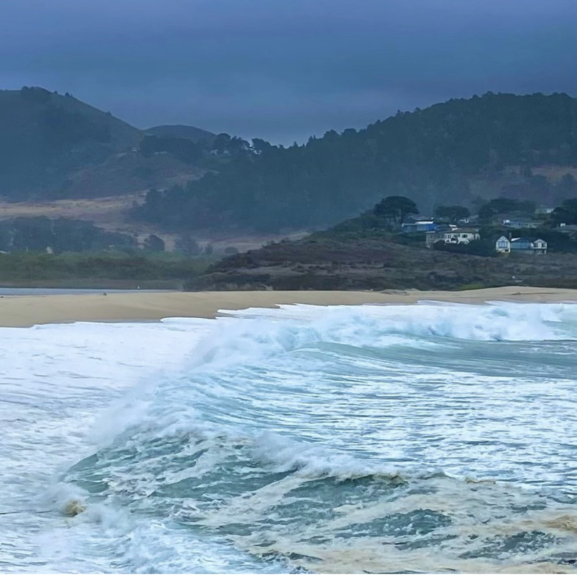 Ways to support PLF - Point Lobos Foundation