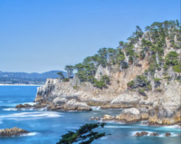 Point Lobos Foundation