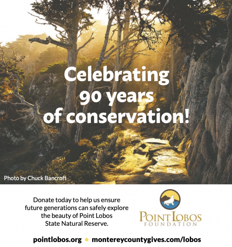 Trails - Point Lobos Foundation