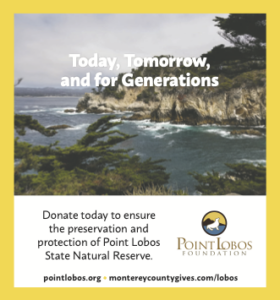 Visitor Information - Point Lobos Foundation