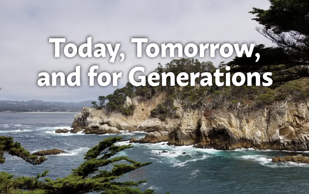 Point Lobos Foundation